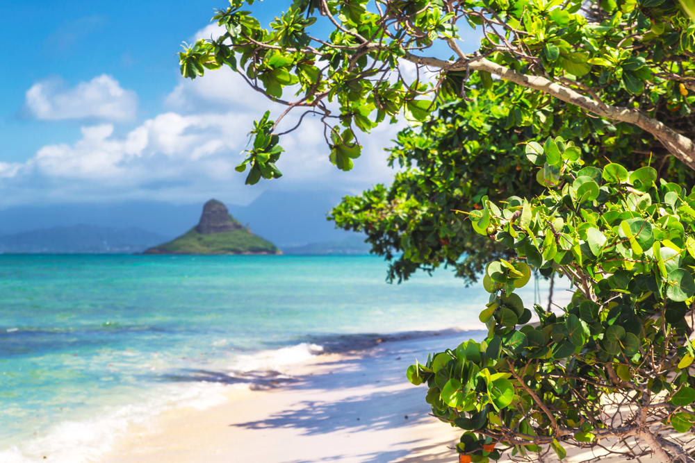 Big Oahu views: the highest island lookouts to visit | Go City®