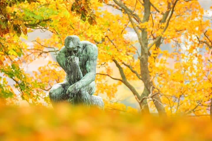 Going solo in Paris: must-see spots for independent explorers | The ...