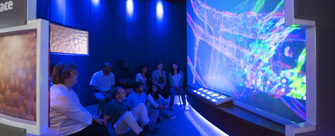 Boston's Museum of Science Discount Tickets & Tips - Save Up to 55% Off