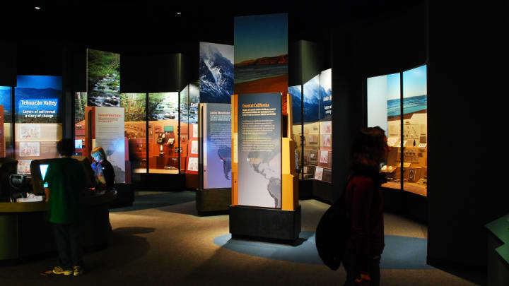 Guide to the Field Museum | GoCity®