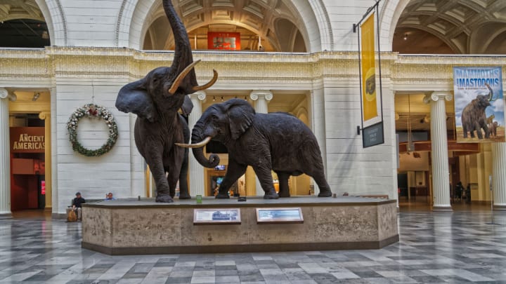 Guide to the Field Museum | GoCity®