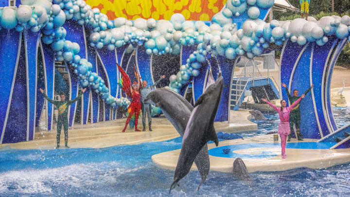 Guide to SeaWorld San Antonio | Go City®