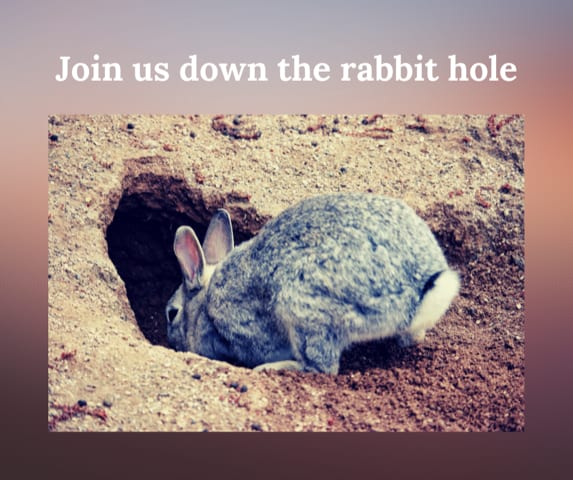 Deep Diving in Rabbit Holes - The HERD Institute
