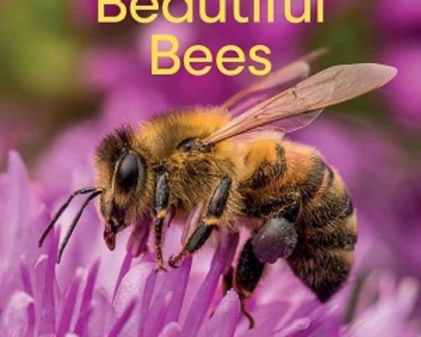 Beautiful Bees: My Letters and Sounds Phase Five Phonics Reader ...