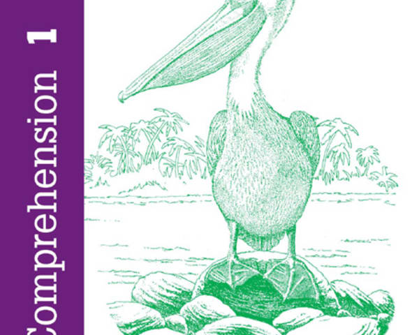 KS2 Comprehension 1: Year 3, Ages 7-8: Schofield and Sims