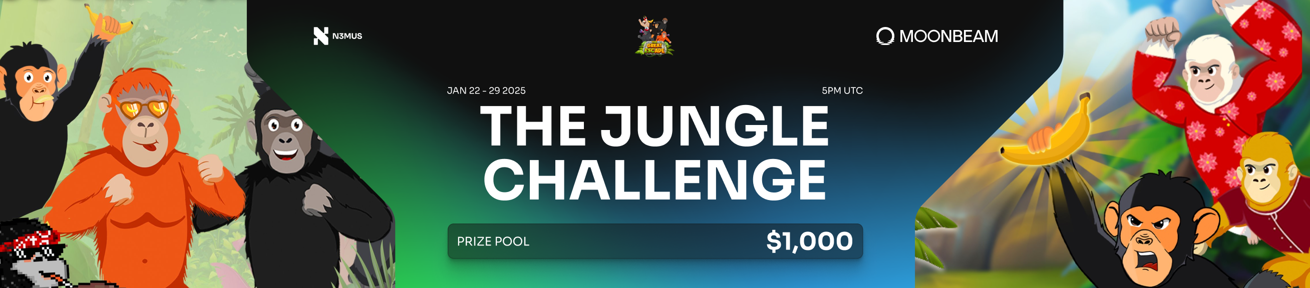 The Jungle Challenge