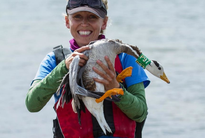 Explorer Profile: Lucy Alice Hawkes, Physiological Ecologist | National ...