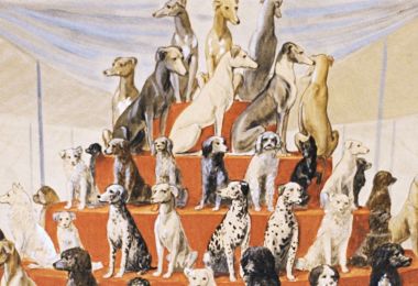 A Brief History of Dogs | National Geographic Society