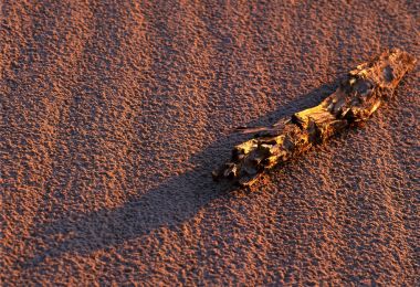Gobi Desert | National Geographic Society
