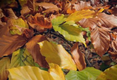 One Strange Rock: Seasons | National Geographic Society