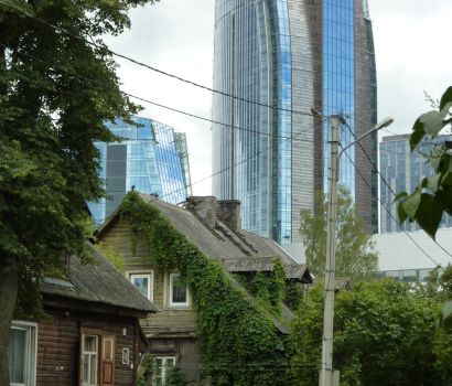 Finding Urban Nature | National Geographic Society