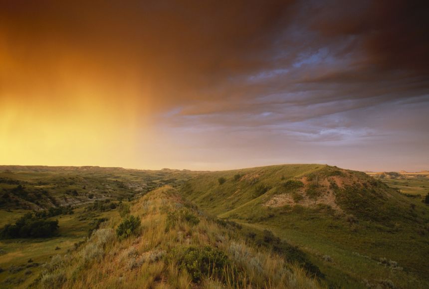 [Solved] Treeless grassland are called?