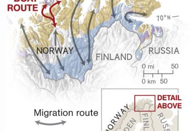 Migration Routes | National Geographic Society