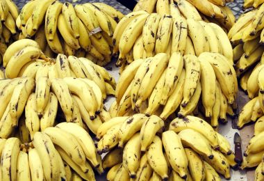 Imagining the Future of the Banana | National Geographic Society