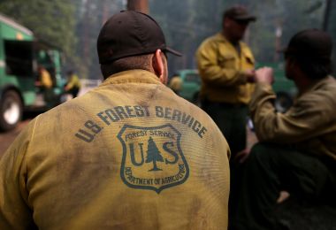 U.S. Forest Service | National Geographic Society
