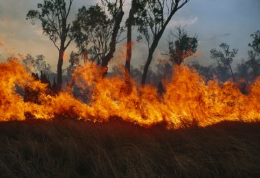 Wildfires | National Geographic Society