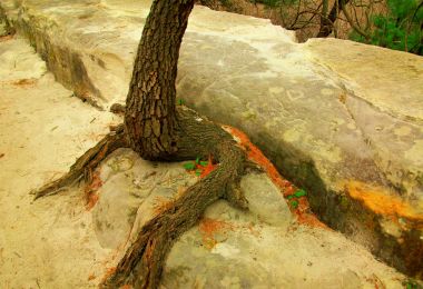 Bedrock | National Geographic Society
