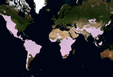 Species Range | National Geographic Society