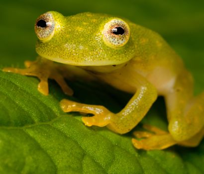 Citizen Science Projects | National Geographic Society