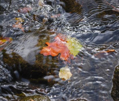 Freshwater | National Geographic Society