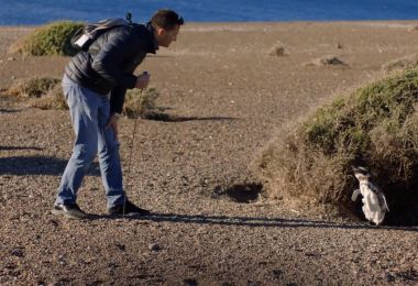 Explorers at Work: Pablo Garcia Borboroglu | National Geographic Society