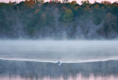 mist | National Geographic Society