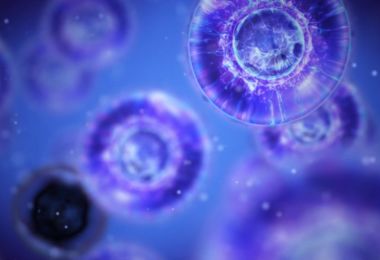 Genetics 101 | National Geographic Society