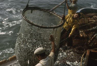 upwelling | National Geographic Society