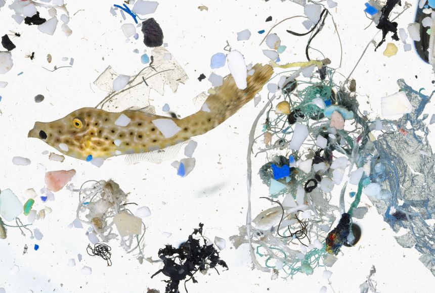 Microplastics National Geographic Society