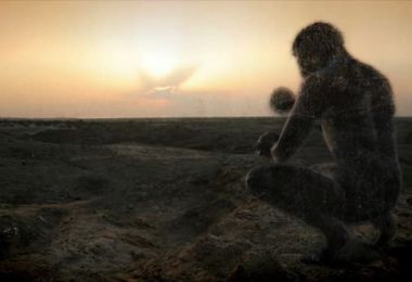 What Makes Us Human? | National Geographic Society