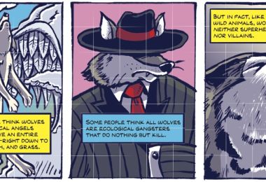 Animal Superpowers | National Geographic Society