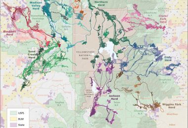 Protecting Elk Migration in the Greater Yellowstone Ecosystem ...