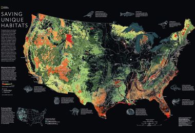 Saving Unique Habitats | National Geographic Society