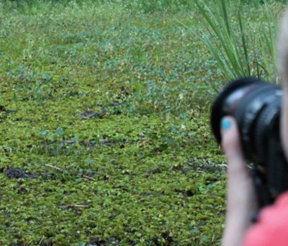 Citizen Science Projects | National Geographic Society