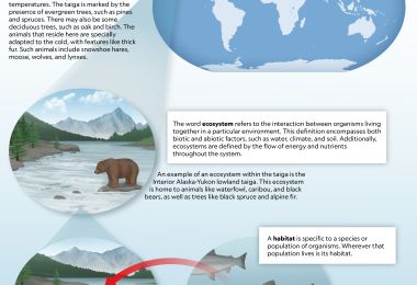 Biomes, Ecosystems, and Habitats | National Geographic Society