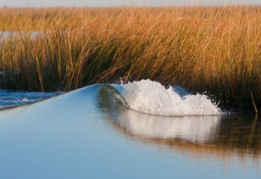 Marsh | National Geographic Society