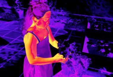 Infrared Vision | National Geographic Society