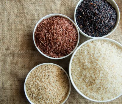 Biotechnology and Agriculture | National Geographic Society