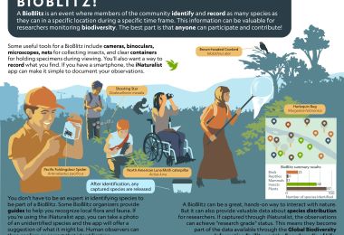 Bioblitz! | National Geographic Society