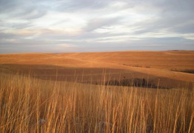 Steppe | National Geographic Society