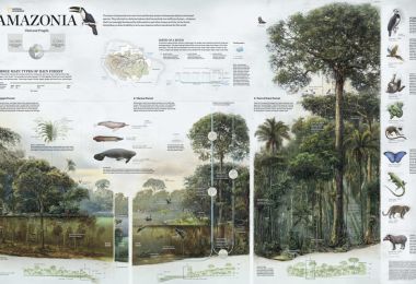 Amazonia: Vital and Fragile | National Geographic Society