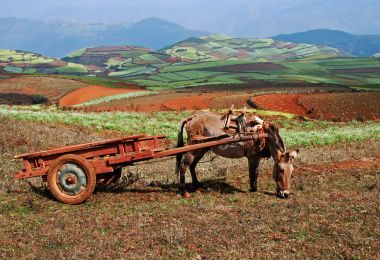 province | National Geographic Society