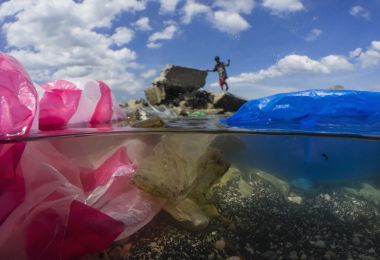 The World's Plastic Pollution Crisis Explained | National Geographic ...