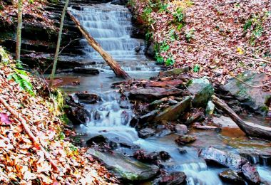 Streams | National Geographic Society