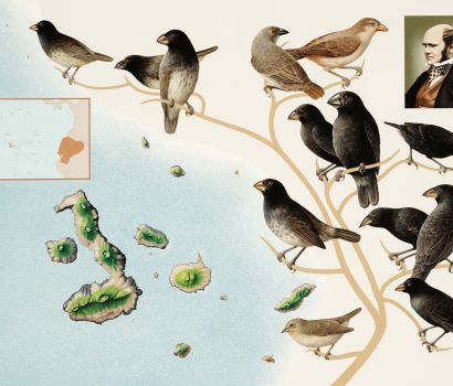 Evolution: Changing Species Over Time | National Geographic Society