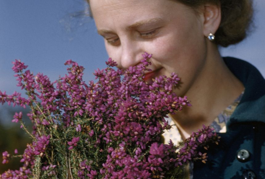 Antibiotic Found in Noses—Here’s What You Need To Know | National ...