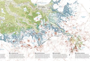 Gulf of Oil: Endangered Wetlands | National Geographic Society