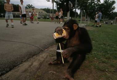 Wild Things | National Geographic Society