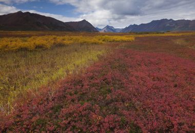 Tundra Threats Explained | National Geographic Society