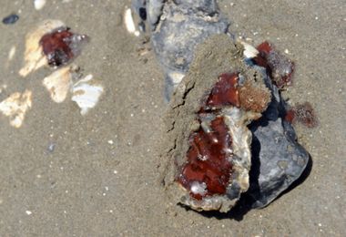 Mapping Up the Spill | National Geographic Society